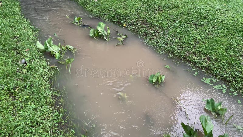 Flash Concrete Flood Gate beside Stream in Rural Public Park Stock ... Flash Concrete Flood Gate beside Stream in Rural Public Park Stock ...