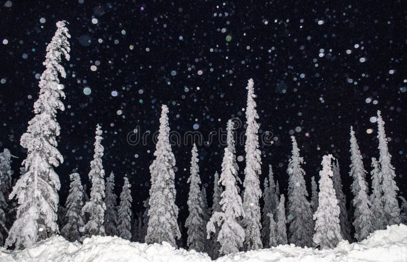 A Flash on Falling Snow stock photo. Image of nonurban - 40020376