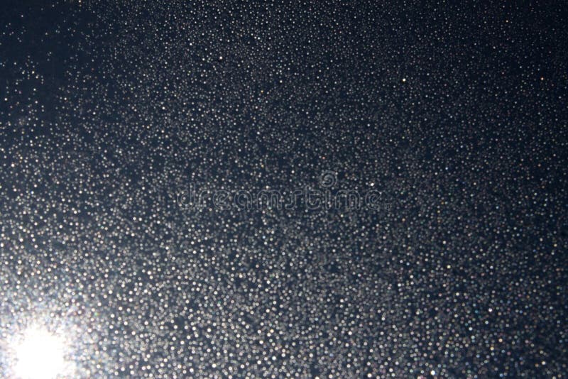 Sveta3 - Photographer profile