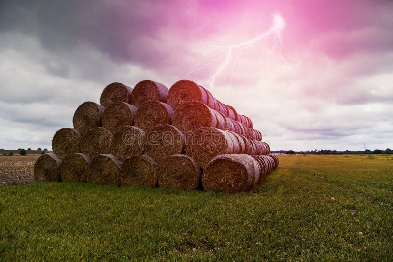 Flash of Lightning on the Field Stock Image - Image of burza, landscape ...