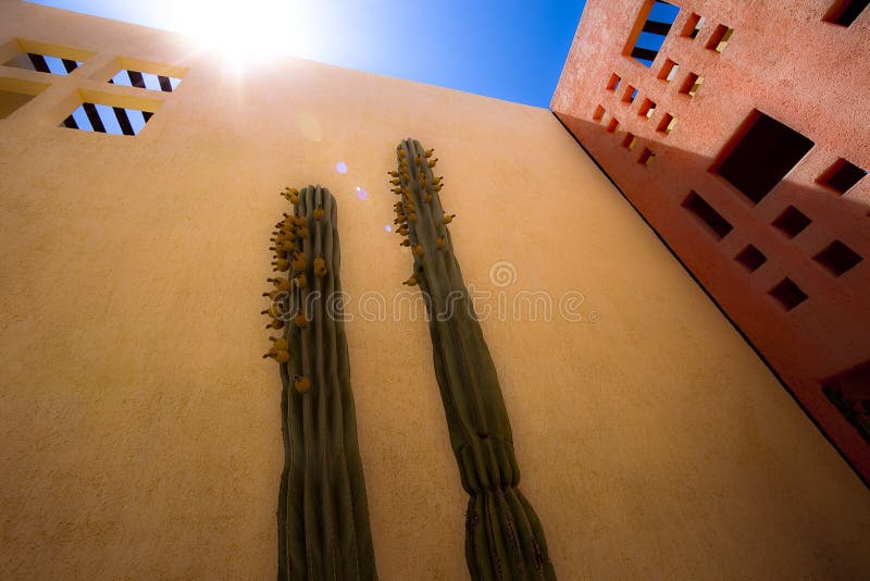 Flash of Mexican Sun stock image. Image of mexican, travel - 42800379