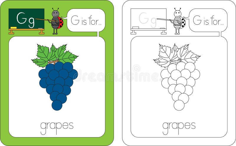 Flashcard letter G stock vector. Illustration of letter - 103765844