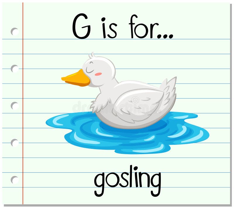 Flashcard Duck Stock Illustrations – 140 Flashcard Duck Stock ... Flashcard Duck Stock Illustrations – 140 Flashcard Duck Stock ...