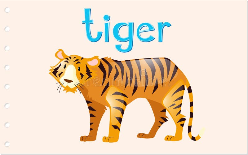 Flashcard tiger with word stock vector. Illustration of font - 79622449