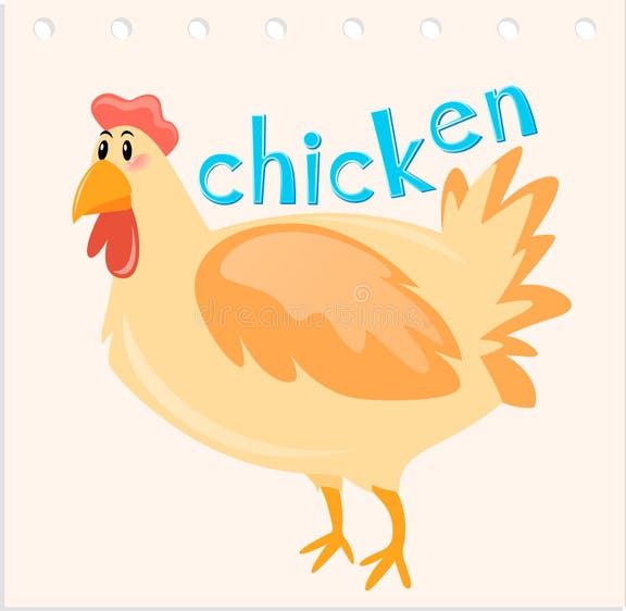 Flashcard with Word Chicken Stock Vector - Illustration of font ...