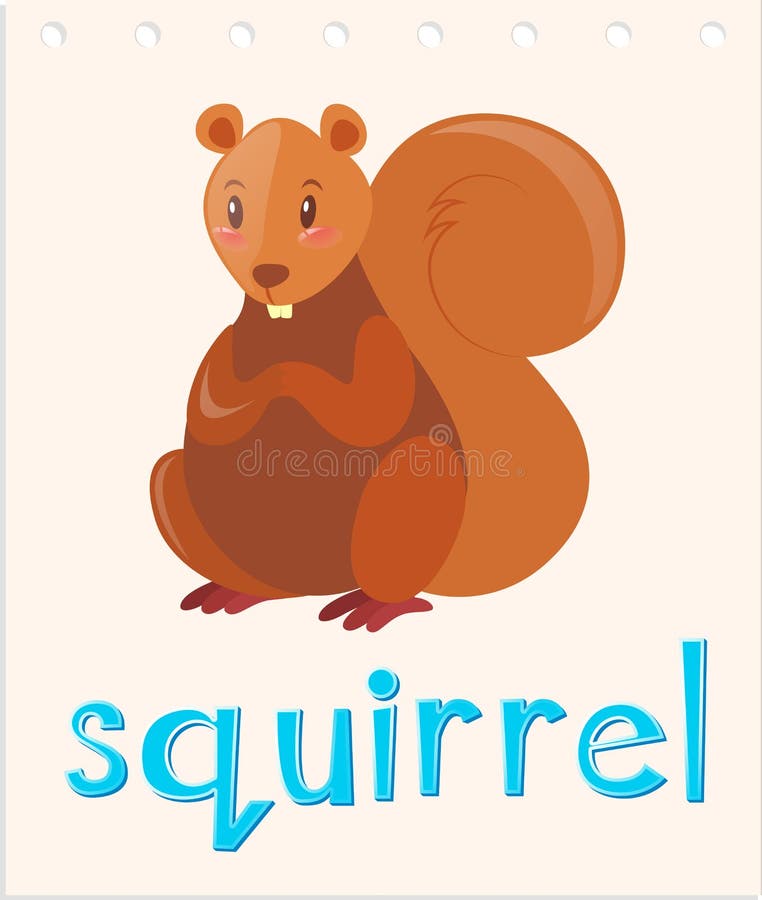 Flashcard with Word Squirrel Stock Vector - Illustration of letter ...