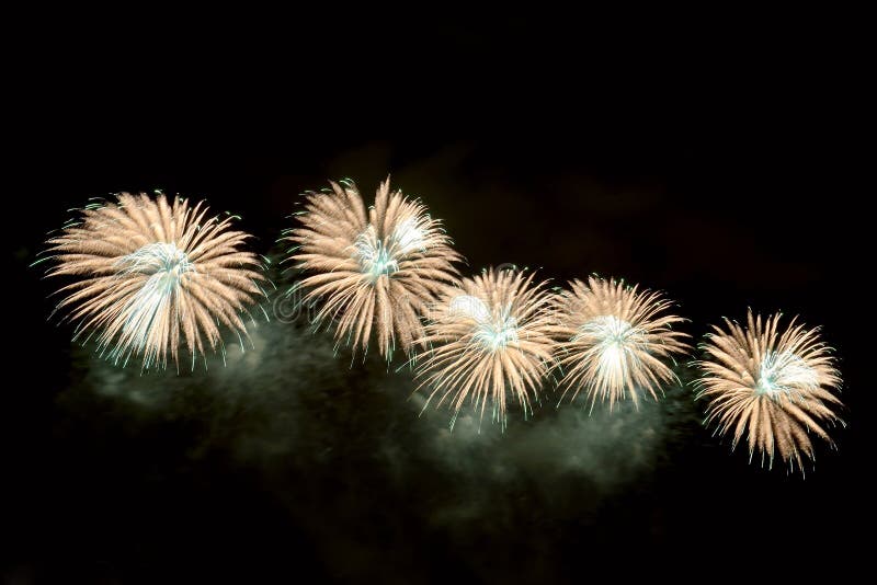 Red And Green Pyrotechnic Fireworks Palm Tree Effect In The Night Stock ...