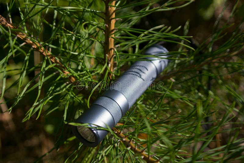 Flashlight on green tree stock photo. Image of green - 101486560