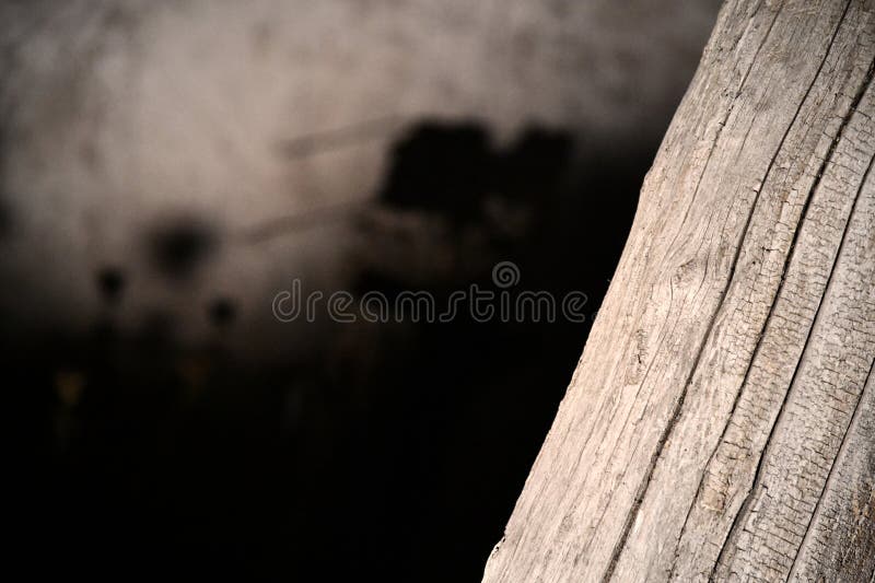 1,473 Old Lay Night Stock Photos - Free & Royalty-Free Stock Photos ...