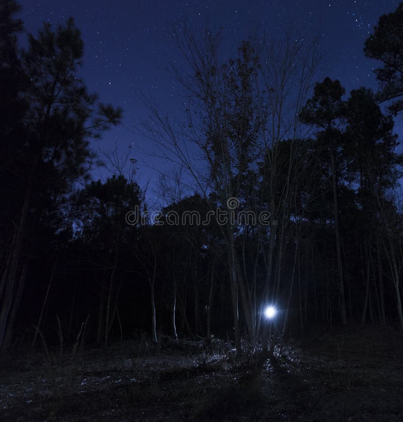 Flashlight on a Starry Night Stock Photo - Image of headlamp ...