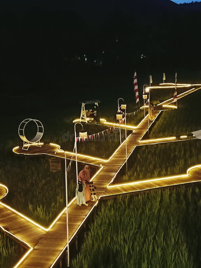 Flashy Night in the Middle of Grass Stock Image - Image of rice, middle ...