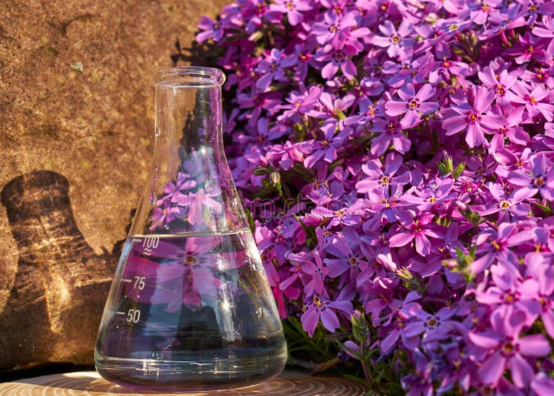 Flask with clean drinking stock image. Image of fresh - 231195521