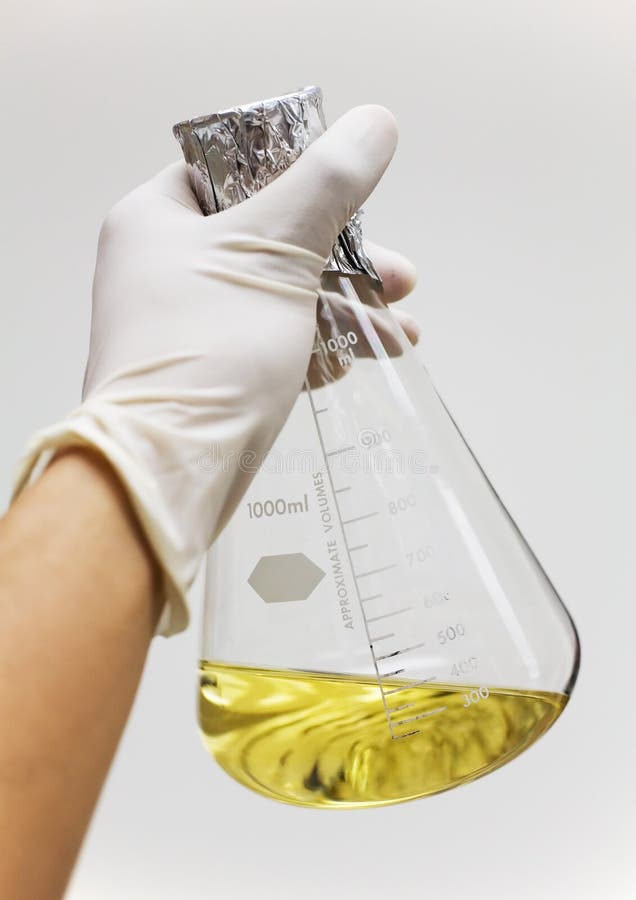 Flask with Growth Media Held Stock Photo - Image of chemistry, clone ...