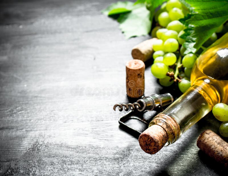 Vitt Vin Med Olika Typer Av Ost Fotografering för Bildbyråer - Bild av ...