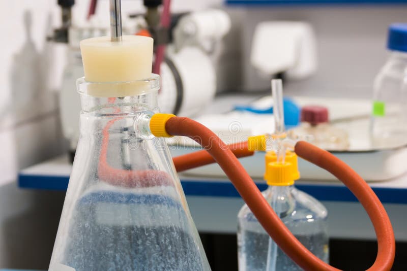 Flasks with hose. stock image. Image of medicine, health - 80122177