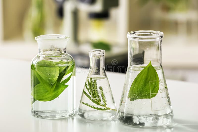 Green Leaf Plants Laboratory Flasks Stock Photos - Free & Royalty-Free ...
