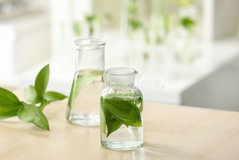 Flasks with Plants on Table in Laboratory Stock Photo - Image of ...