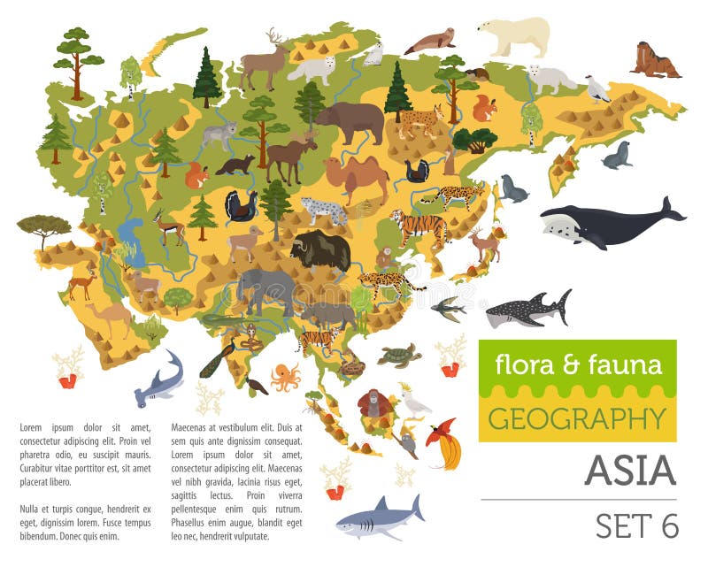 Flat Asian Flora and Fauna Map Constructor Elements. Animals, Bi Stock ...