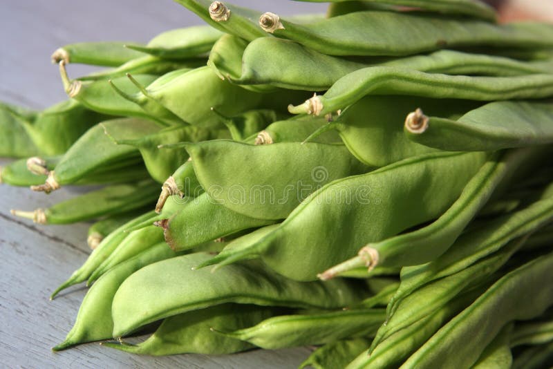 Flat bean stock photo. Image of bean, human, vegetable - 23112486