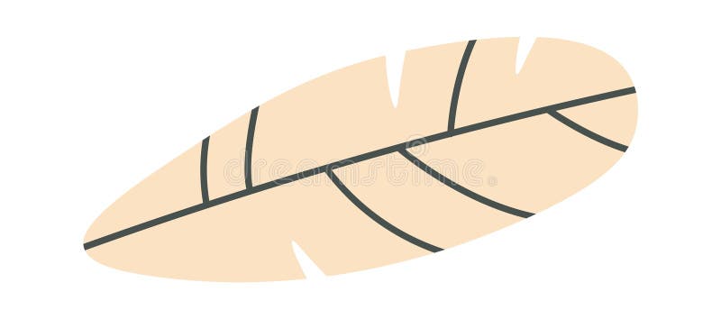 Flat Bird Feather stock vector. Illustration of bird - 273901768