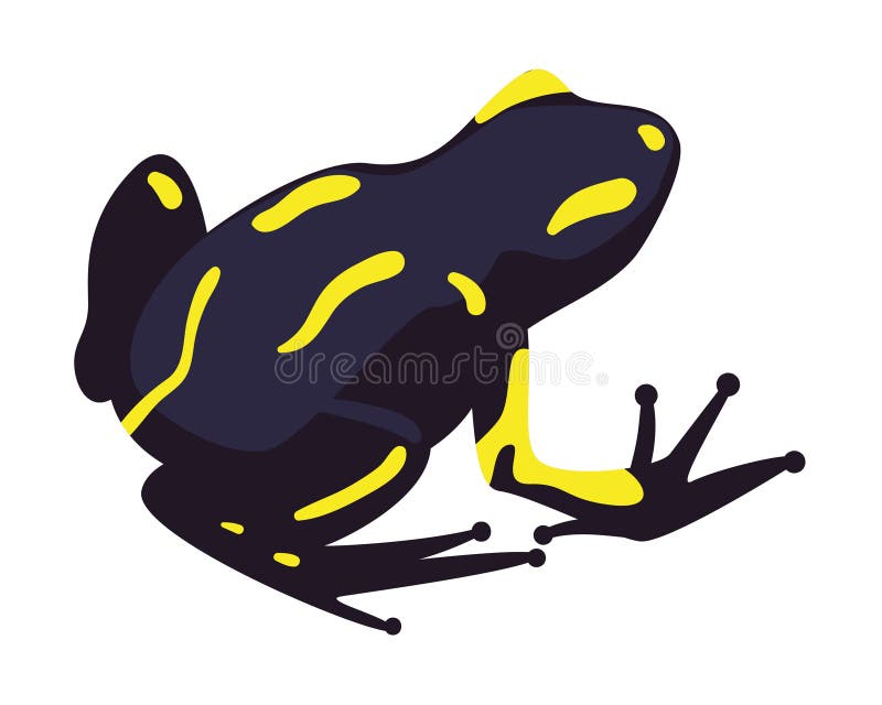 Flat black and yellow toad stock vector. Illustration of nature - 273100219