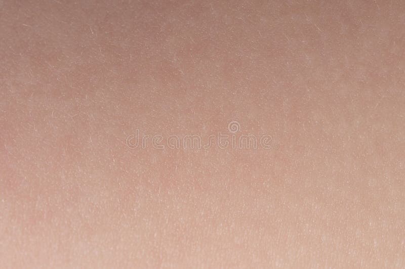 Flat Blank Human Skin Texture Stock Image - Image of male, background ...