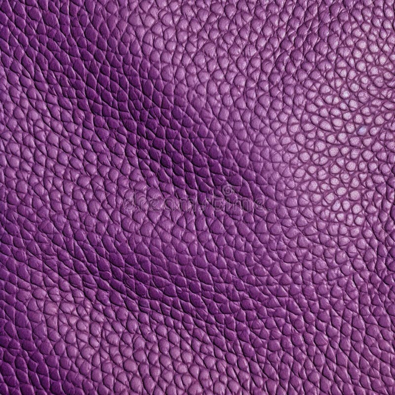 Flat Blank Purple Leather Texture Stock Illustration - Illustration of ...