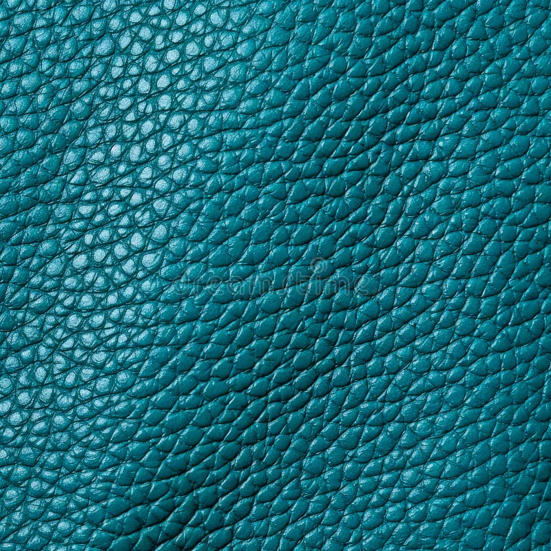 Flat Blank Teal Leather Texture Stock Illustration - Illustration of ...