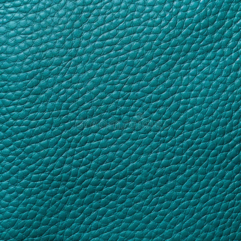 Flat Blank Teal Leather Texture Stock Illustration - Illustration of ...