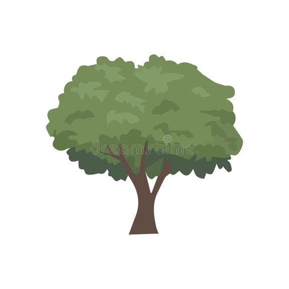 Flat Bushy Tree Design with Clean White Background Stock Vector ...