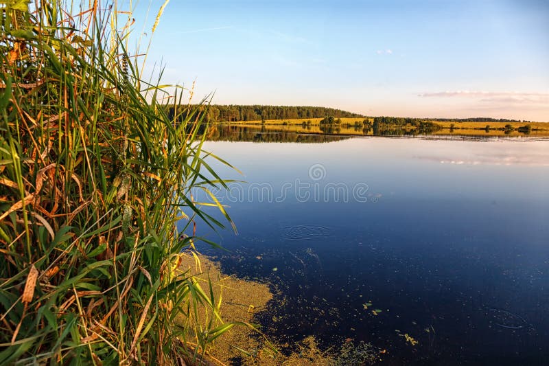 Flat calm river. stock photo. Image of surface, angle - 99752390