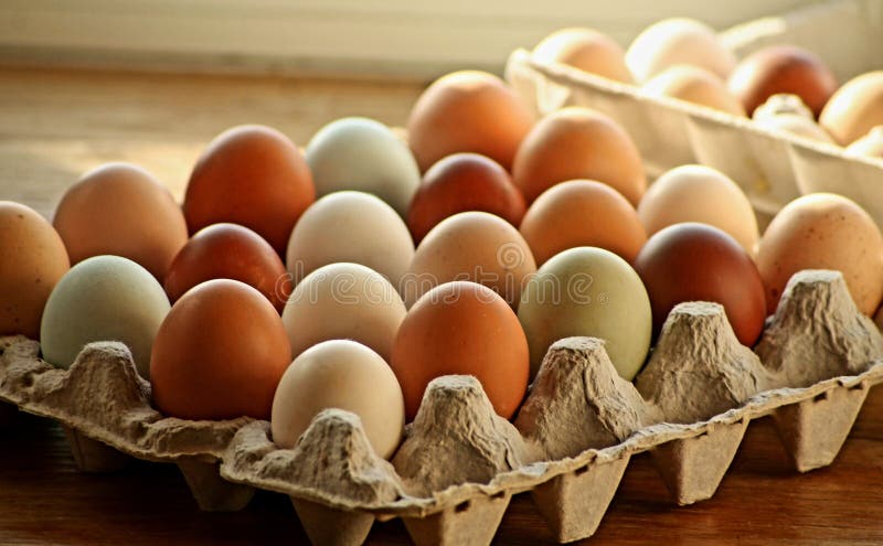 Flat Carton of Eggs, Naturally Rainbow Colored Shells from Local Farm ...