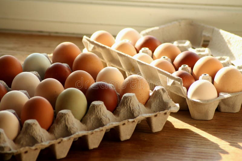 Flat Carton of Eggs, Naturally Rainbow Colored Shells from Local Farm ...