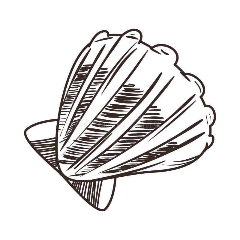 Clams Fishing Stock Illustrations – 135 Clams Fishing Stock ...