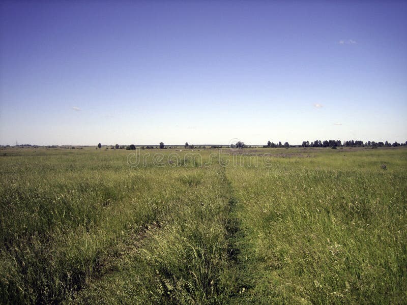 A Flat, Clear Field of Uncut Grass on a Clear, Cloudless Day Stock ...