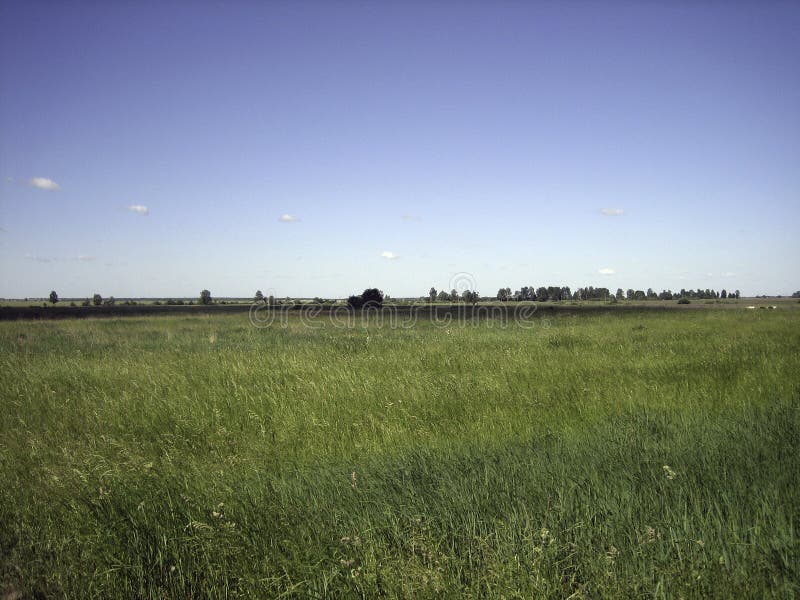 A Flat, Clear Field of Uncut Grass on a Clear, Cloudless Day Stock ...