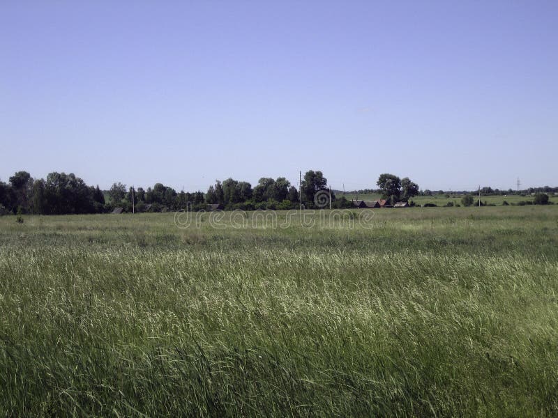 A Flat, Clear Field of Uncut Grass on a Clear, Cloudless Day Stock ...