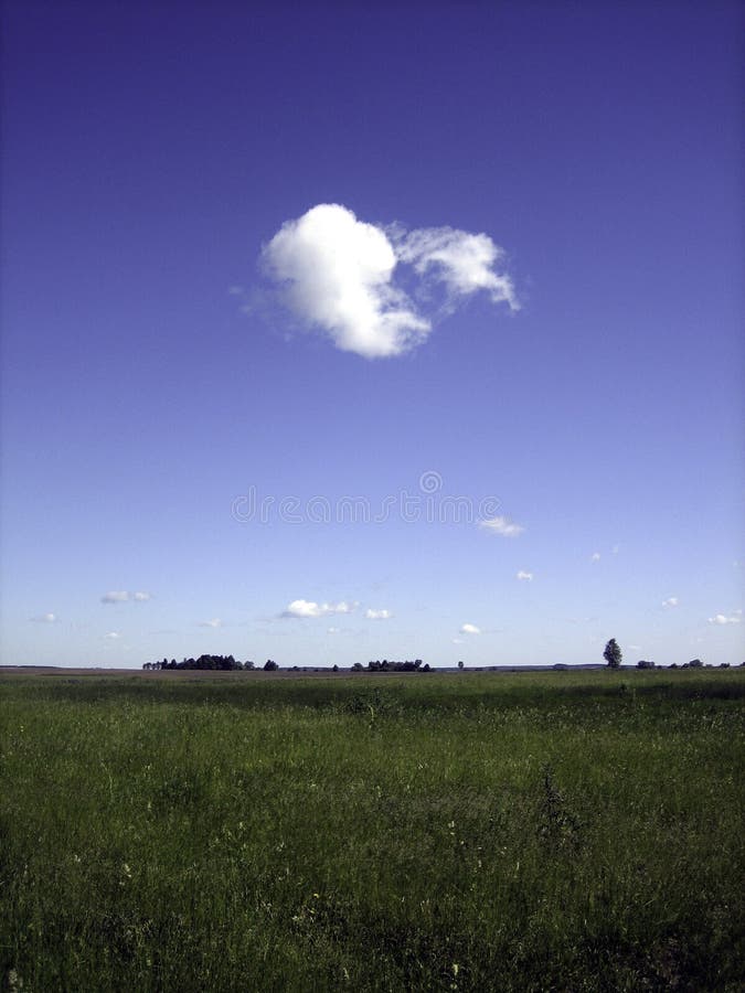 A Flat, Clear Field of Uncut Grass on a Clear, Cloudless Day Stock ...