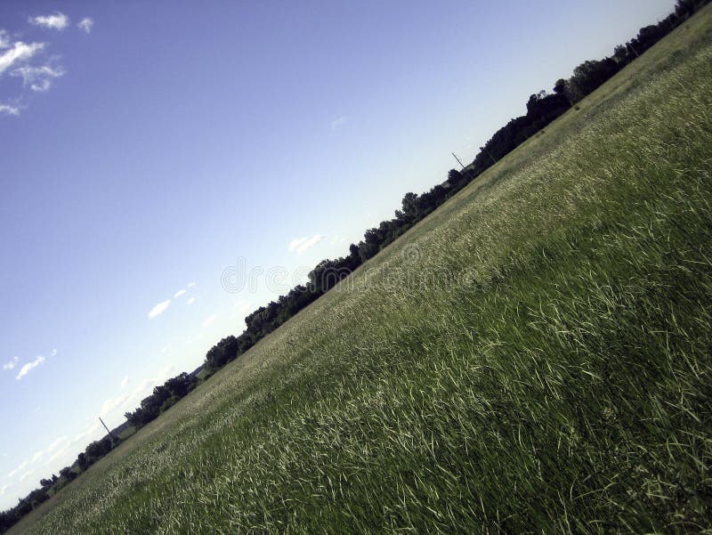 A Flat, Clear Field of Uncut Grass on a Clear, Cloudless Day Stock ...