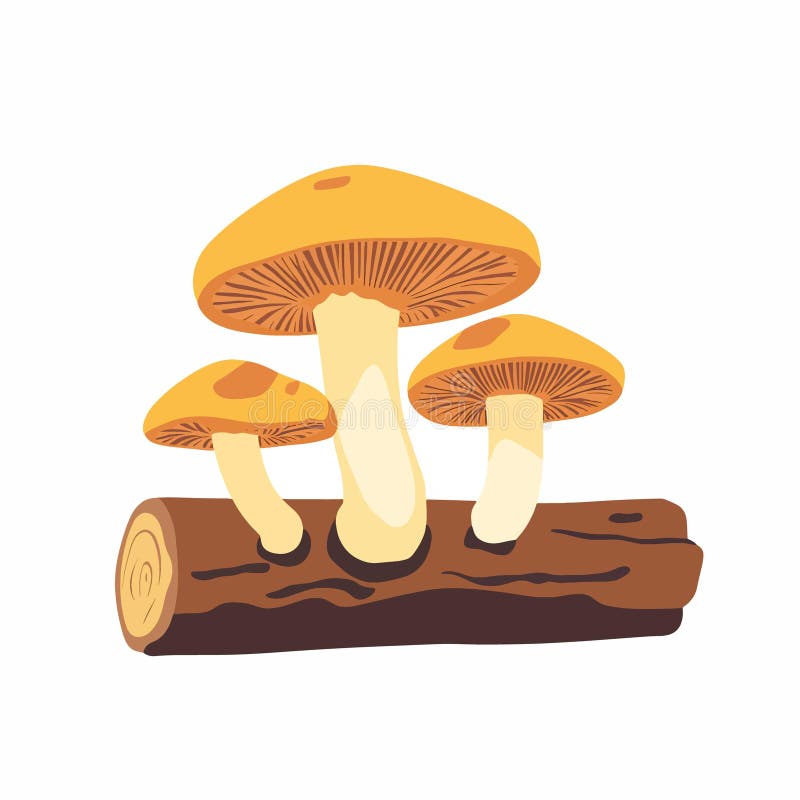 Flat a Close-up of a Mushroom Growing on a Fallen Log. Vector Stock ...