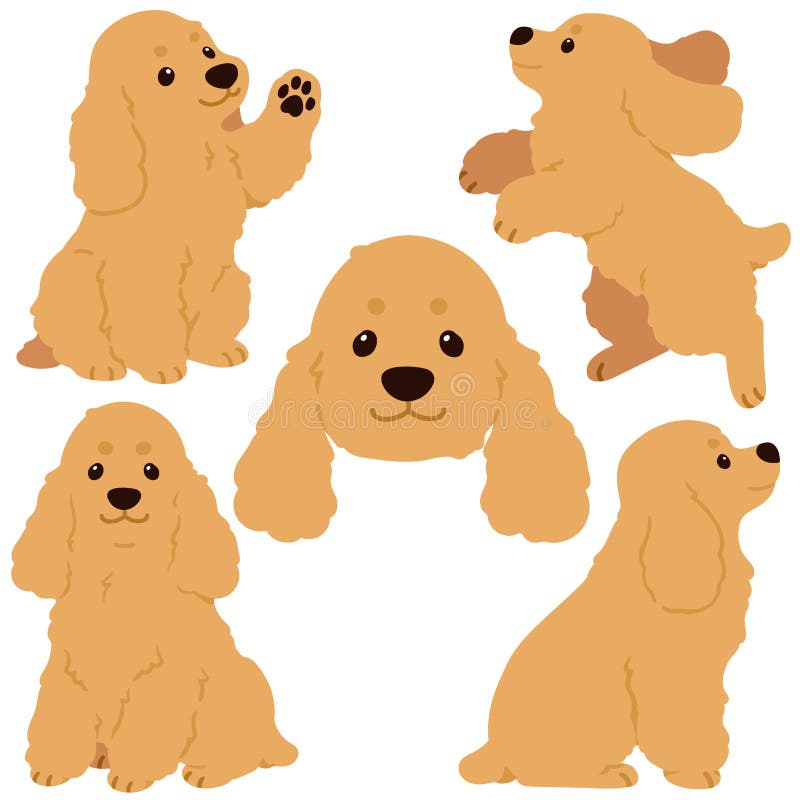 Flat Colored Adorable Simple English Cocker Spaniel Illustrations Stock ...