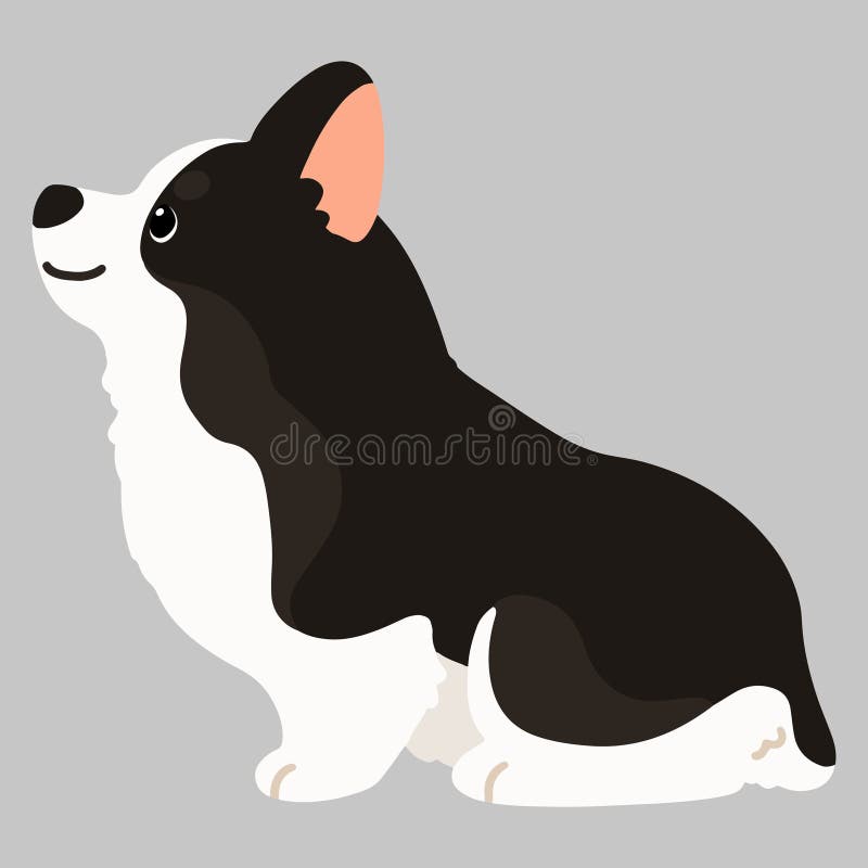 Flat Colored Adobrable Black Corgi Sitting in Side View Stock Vector ...