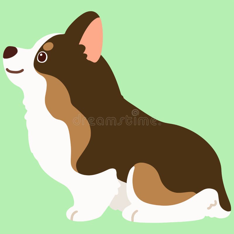 Flat Colored Cute Sable Colored Corgi Sitting in Side View Stock Vector ...