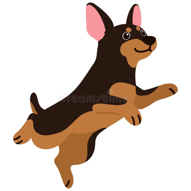 Flat Colored Miniature Pinscher Jumping Stock Vector - Illustration of ...