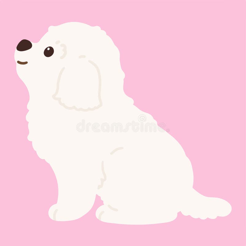 Flat Colored Simple and Adorable White Maltese Dog Sitting in Side View ...