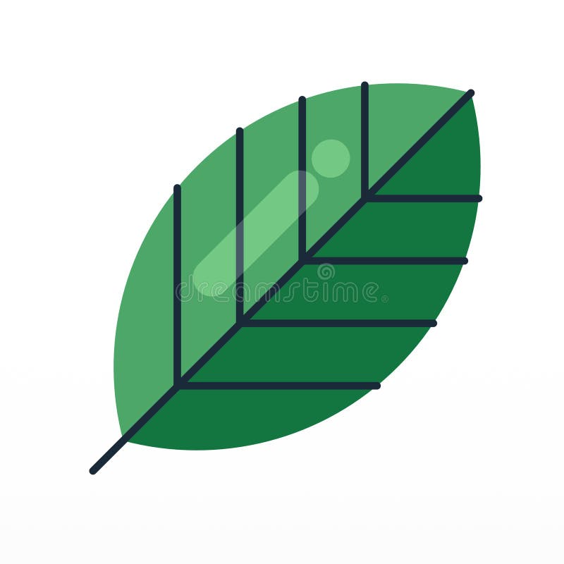 Flat Colorful Leaf Shape Design Asset Element Stock Vector ...