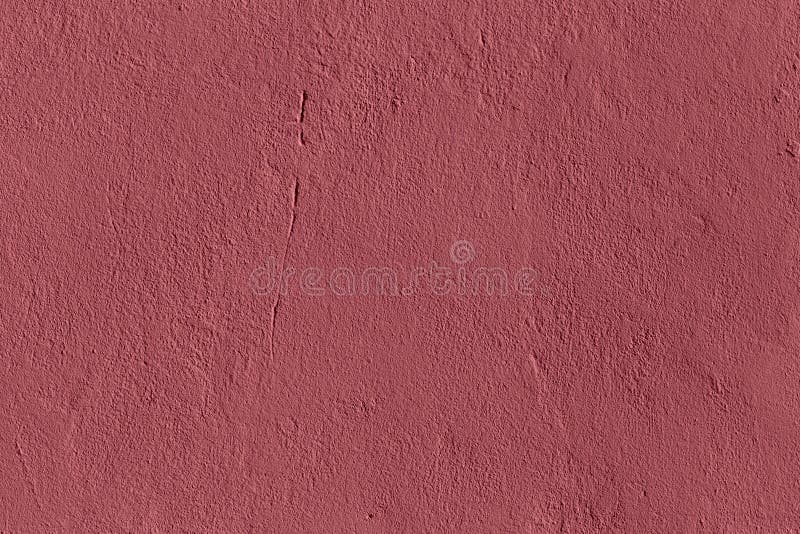 Flat coral stock photo. Image of clear, disc, green, coral - 10798430