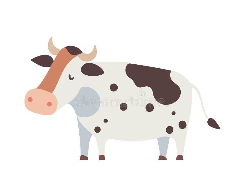 Flat cute cow stock vector. Illustration of husbandry - 274722716