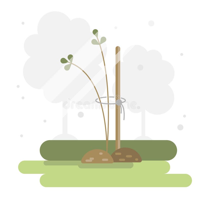 Flat Cute Vector Illustration with Young Sapling, Green Stalk. Stock ...