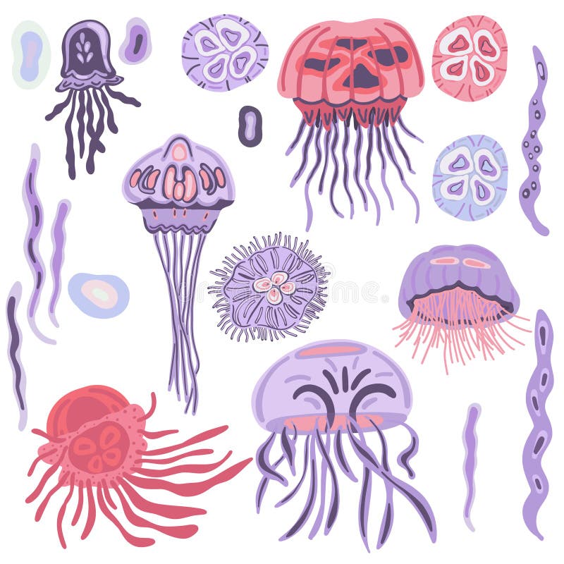 Flat Design Big Set Flat Design Jellyfish Ocean Animals Stock Vector ...